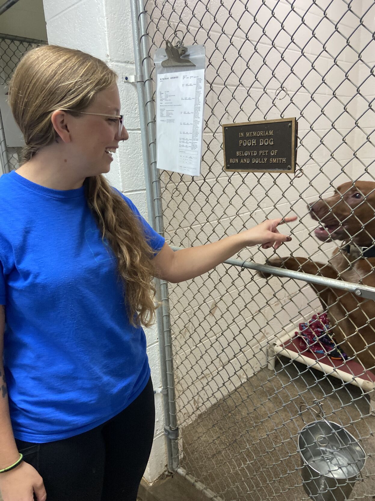 Danville SPCA hosts dog adoption event | News | dailyitem.com