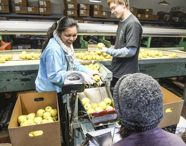 Dries Orchards gets upgrade thanks to DEP rebate program | News ...