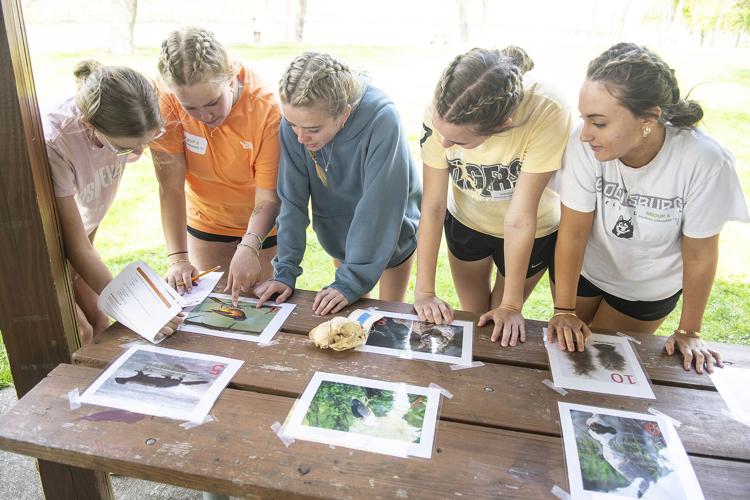 Dozens of students learn, compete at Envirothon | News | dailyitem.com