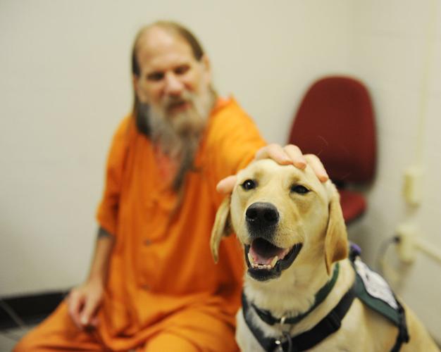 Dogs do better than drugs at easing inmates’ anxiety | News | dailyitem.com