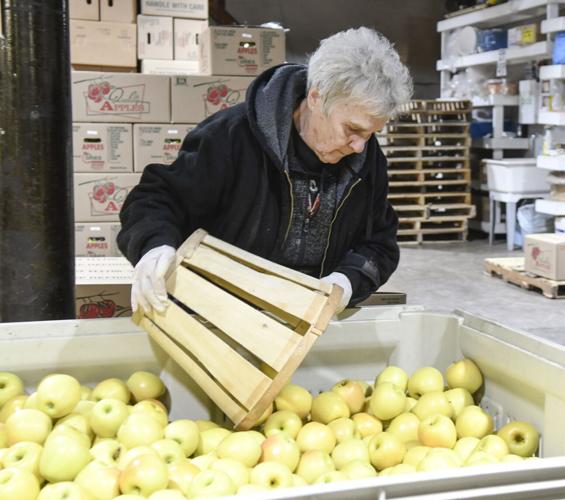Dries Orchards gets upgrade thanks to DEP rebate program | News ...