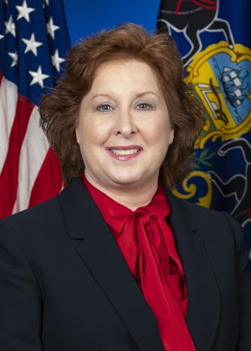 Lynda Schlegel Culver Senate portrait | | dailyitem.com
