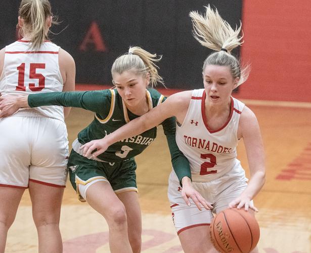 Mount Carmel tops Lewisburg to end slide | Sports | dailyitem.com