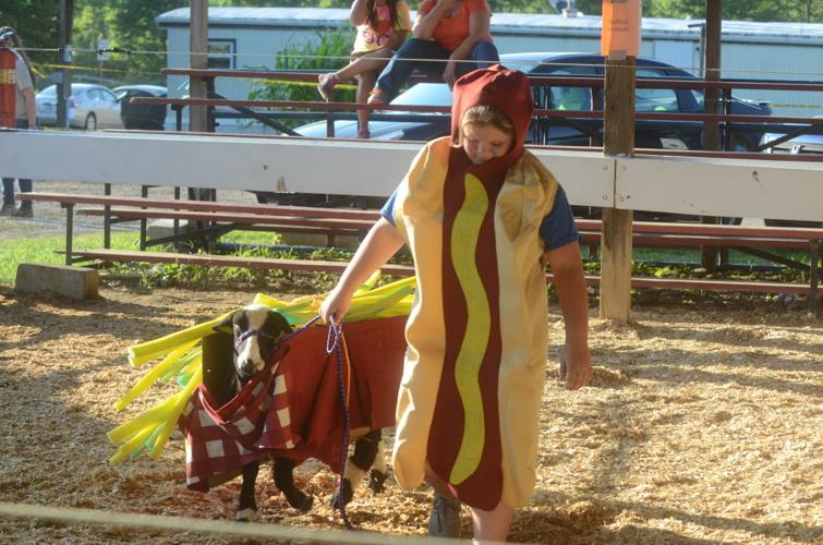 Montour Delong Fair 2014 | Gallery | dailyitem.com