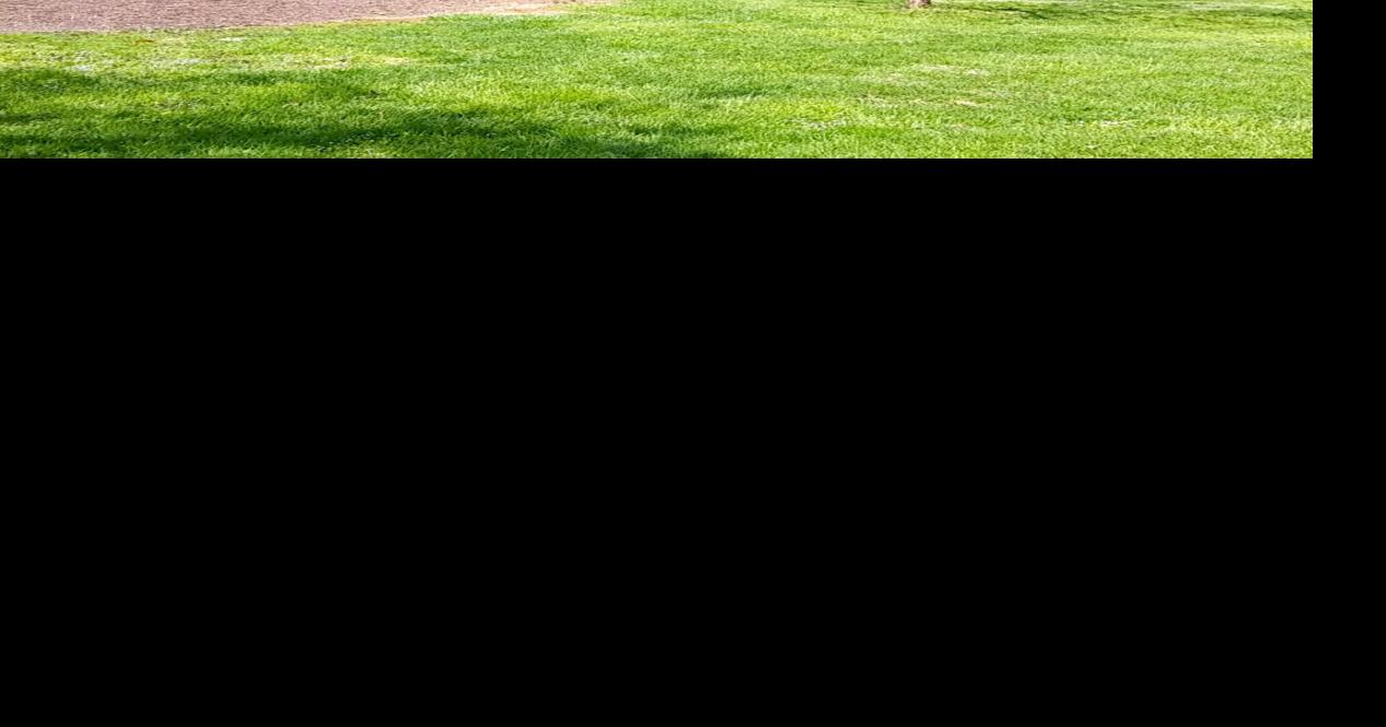 April is National Gardening Month | | dailyitem.com