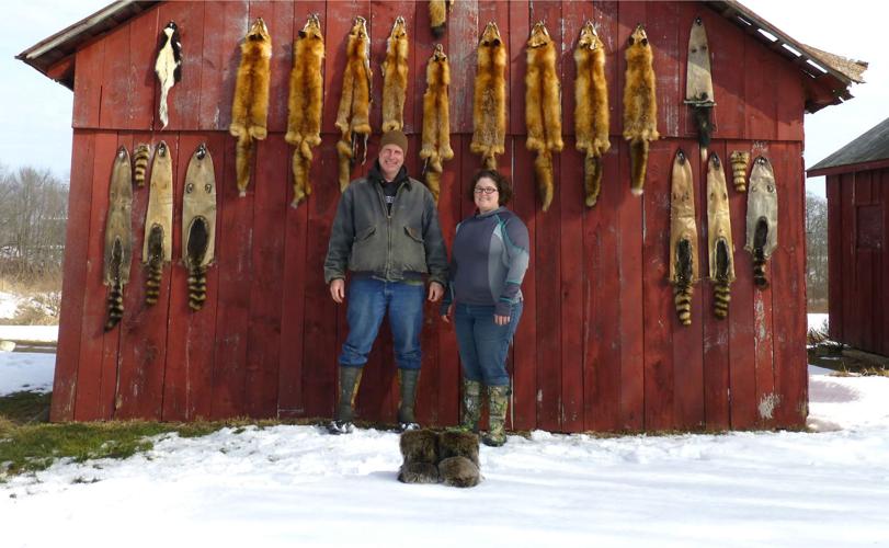 Pennsylvania trapping trends positive despite low fur prices, stigma ...