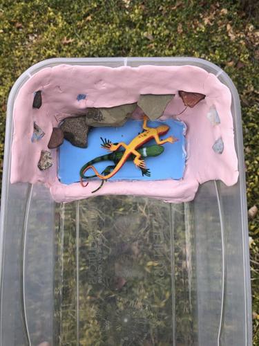 Students practice persuasion skills with 'Shark Tank' style competition ...