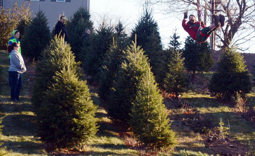 Flying elf rides zipline to 'count the trees' | News | dailyitem.com