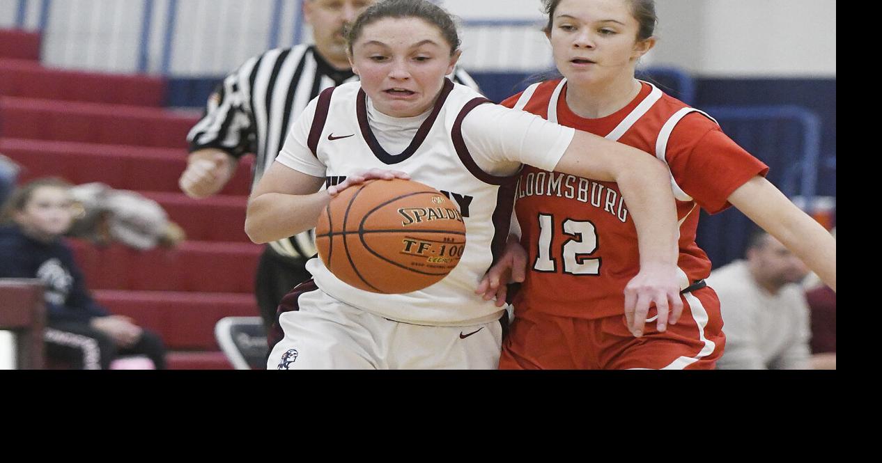 Fatool leads defending champ Shikellamy | Sports | dailyitem.com