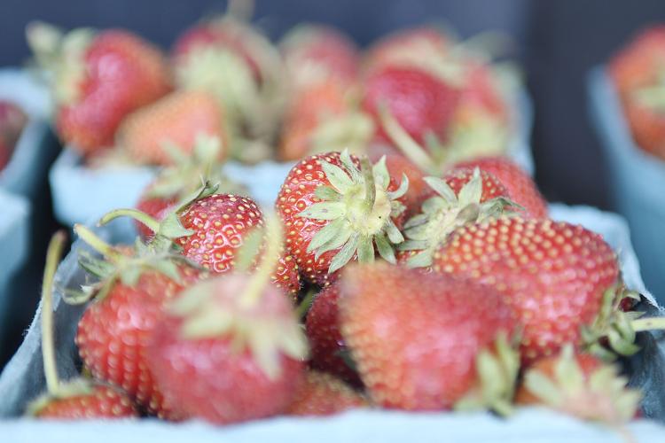 Crest Haven named small business success story | News | dailyitem.com