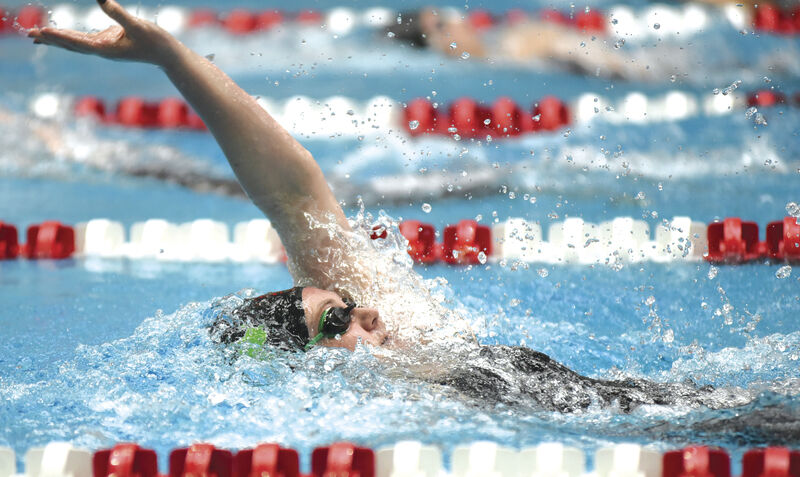 Shannon leads contingent of 19 swimmers to states | Sports | dailyitem.com