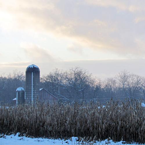 Photos Capturing the Valley | Local News | dailyitem.com