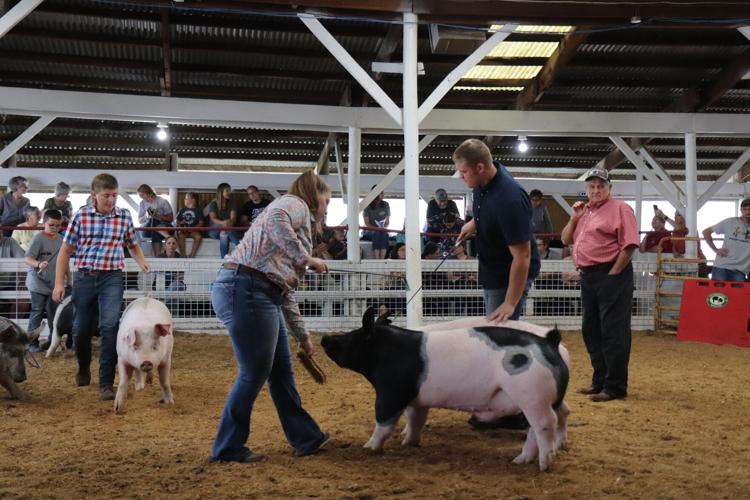 Beaver Community Fair celebrates small-town country living | Applause ...