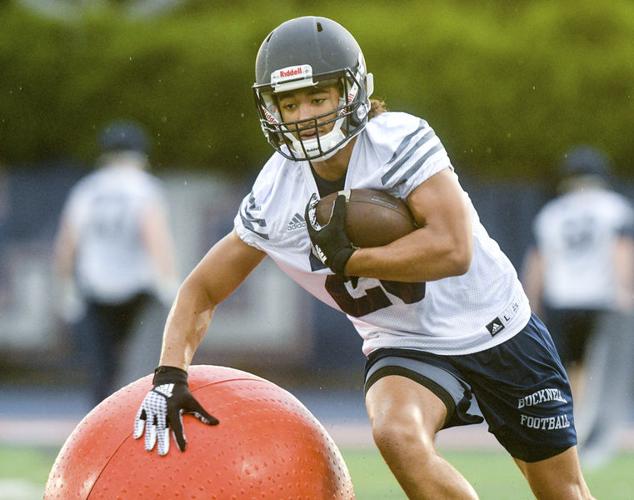 Cecchini wants Bison to 'act like champions' | Local Sports | dailyitem.com