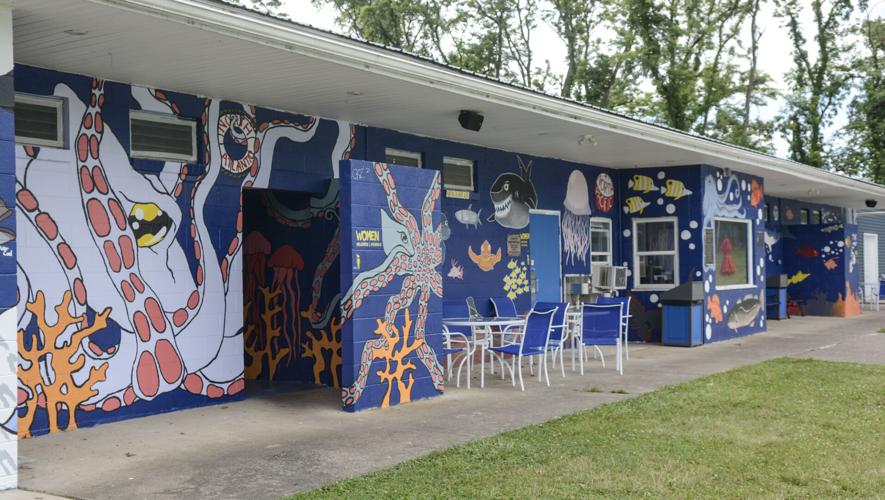 Local artists give lively look to Selinsgrove pool | Local News ...