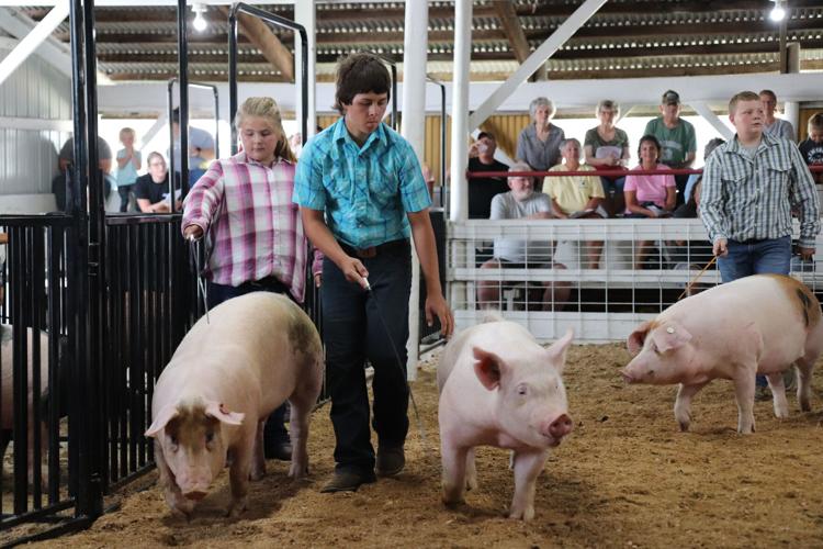 Beaver Community Fair celebrates small-town country living | Applause ...