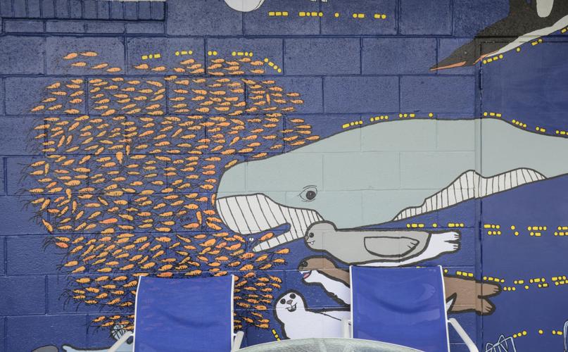 Local artists give lively look to Selinsgrove pool | Local News ...