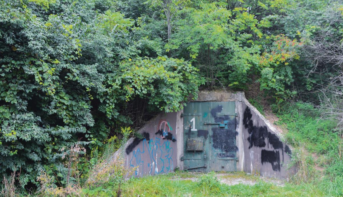 Remembering Alvira, a Pennsylvania village lost | News | dailyitem.com