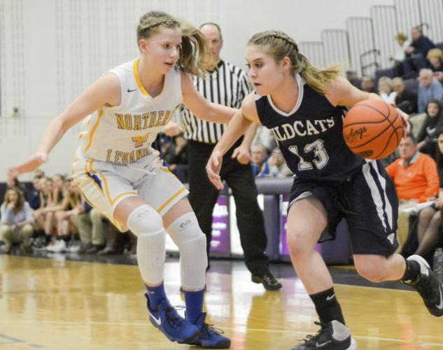H.S. Girls Basketball: Northern Lebanon too much for Mifflinburg ...