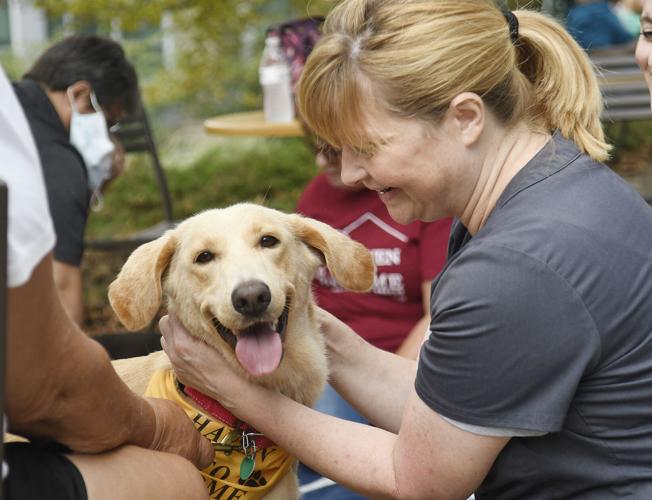 Geisinger employees relieve stress, bond with local sheltered animals ...
