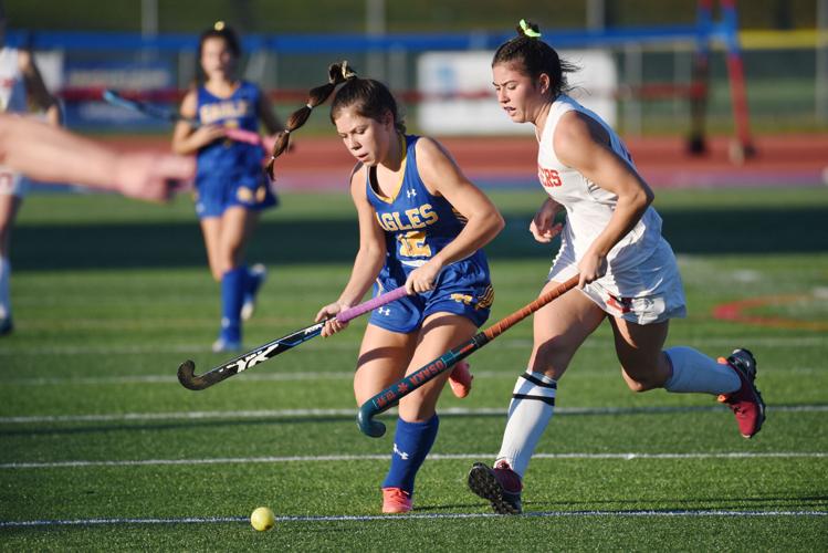 Line Mountain falls in consolation game | Sports | dailyitem.com