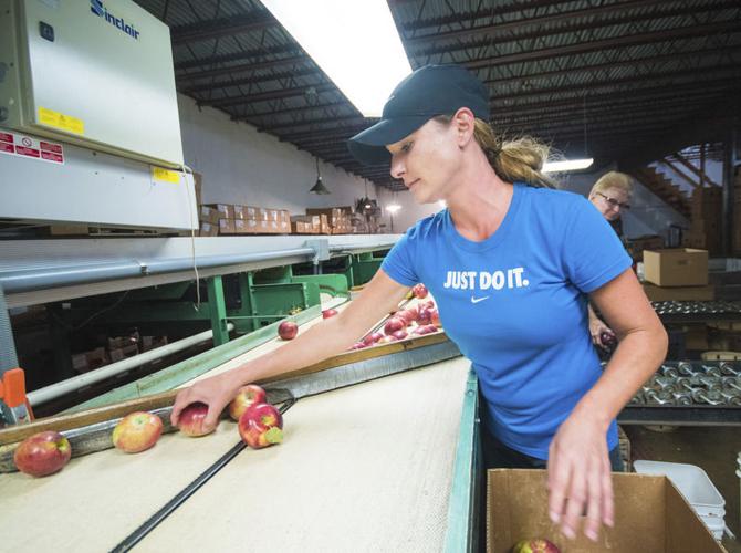 Farmers expect good fall harvest despite spring weather concerns ...