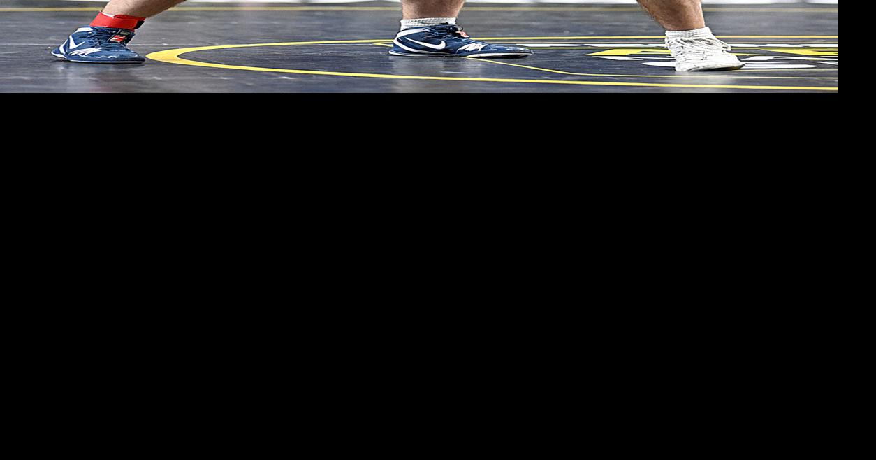 Wetzel, Rebuck secure Class 3A state medals | Sports | dailyitem.com