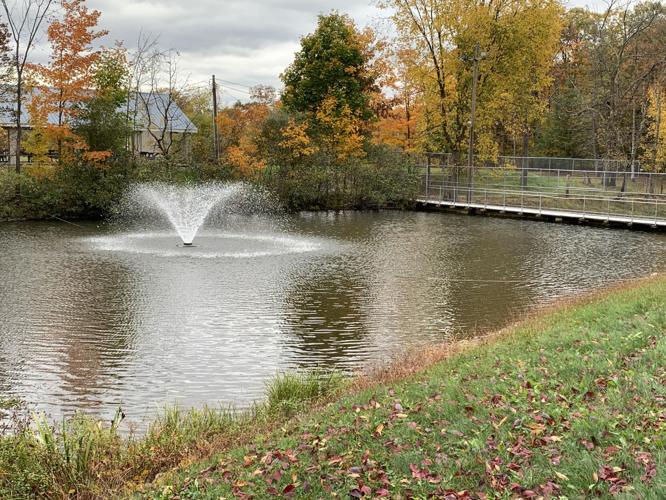 Tiny Towns: Weikert is a place of peace and wildlife | Life | dailyitem.com