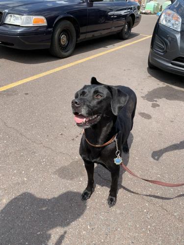 The fifth generation joins the family business | | dailyitem.com