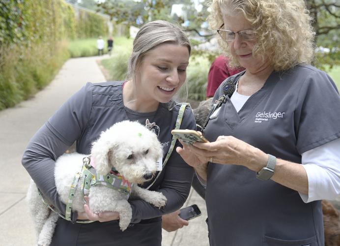 Geisinger employees relieve stress, bond with local sheltered animals ...