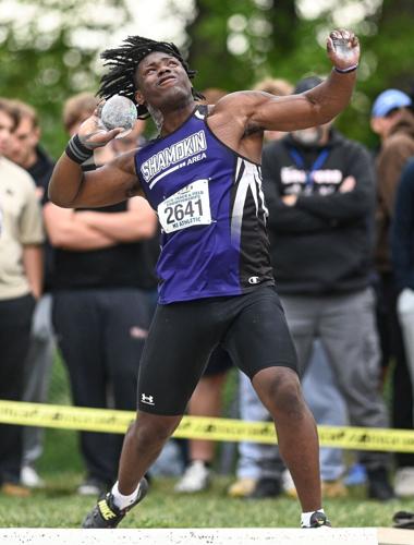 Bordner, Stebila medal in triple jump | Sports | dailyitem.com