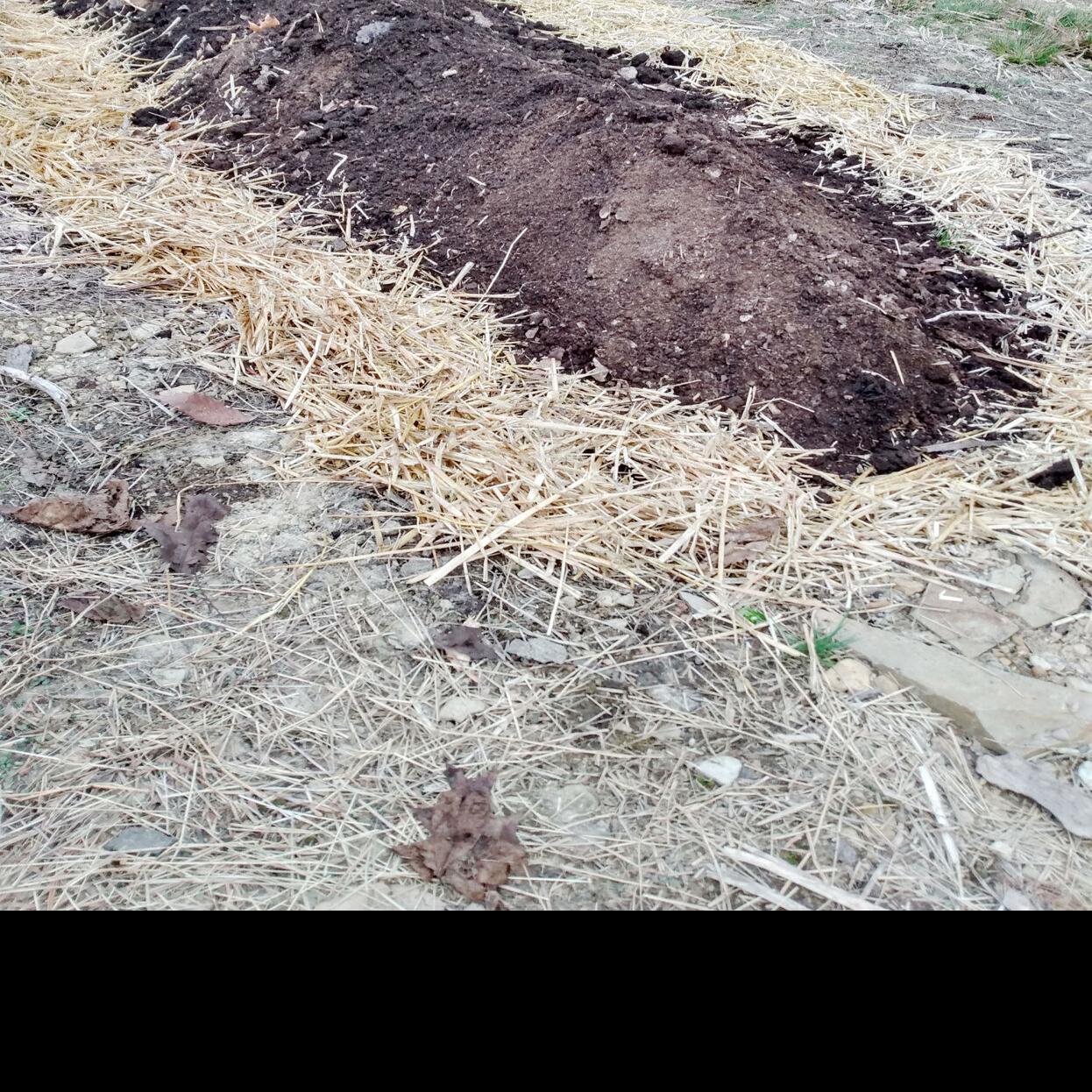 Garden Mounds Planting | Fasci Garden