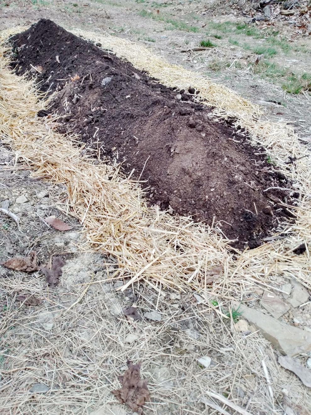 Mound gardening suitable for novices and experts | At Home | dailyitem.com