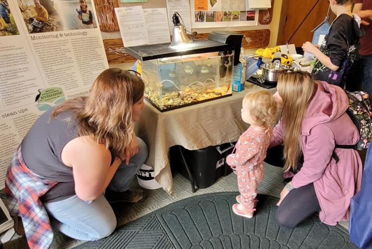 Environmental Education Expo showcases nature's connection to arts ...