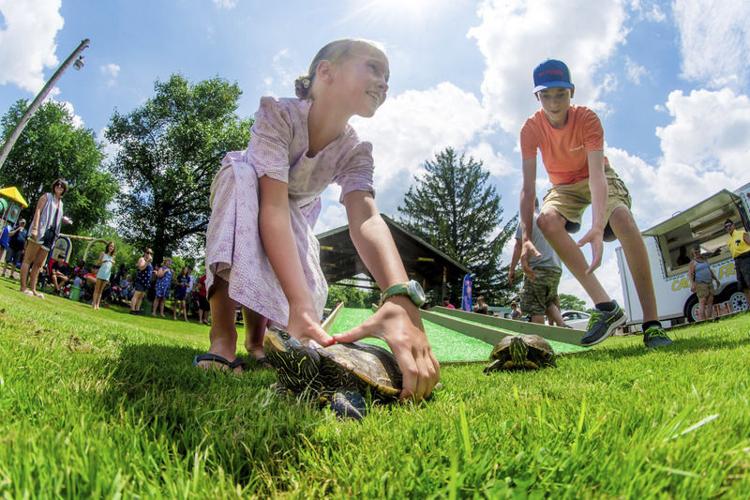 Competition in full speed at annual Turtle Race | Local News ...