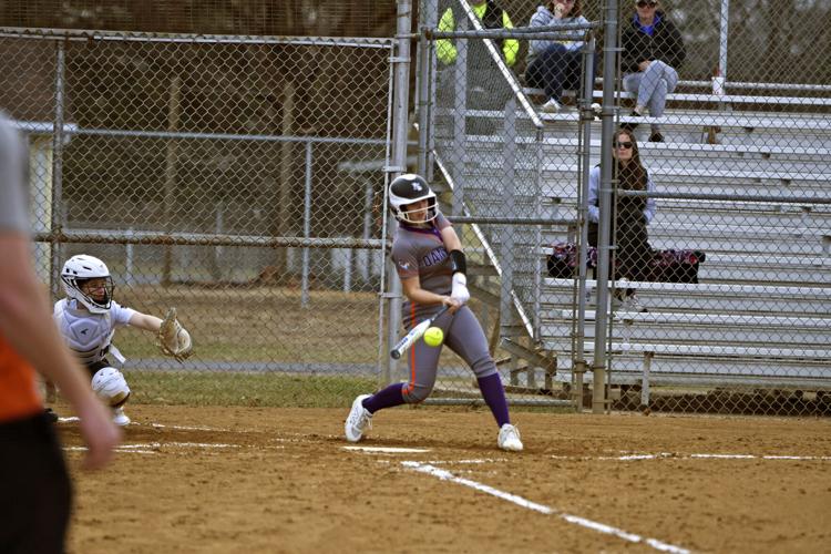 Danville bats stay hot in win over Milton | Sports | dailyitem.com