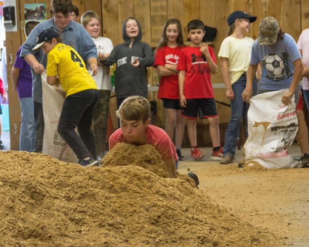 Beaver Community Fair celebrates small-town country living | Applause ...