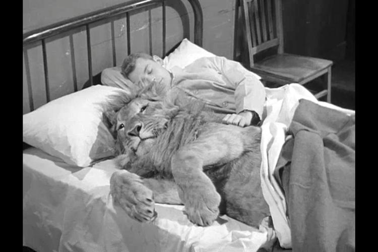 Tinseltown Talks: Carleton Carpenter: Actor, author and lion tamer ...