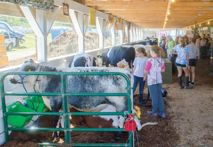 Ag roots thrive at community fair | News | dailyitem.com