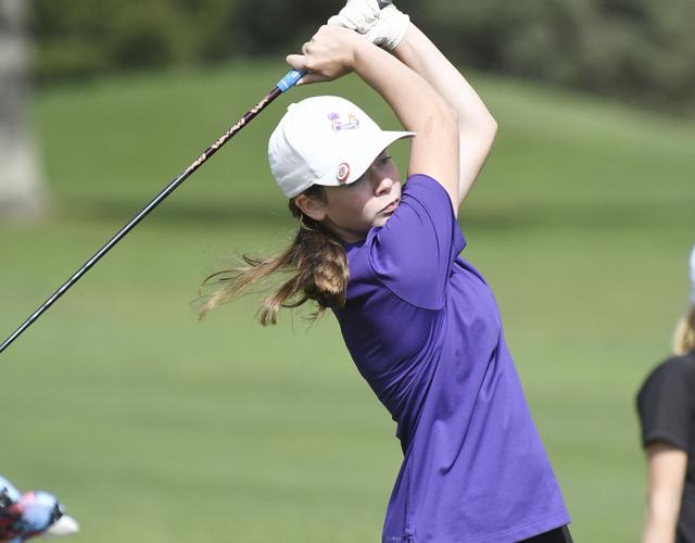 Defenders hold off Midd-West for D4 golf crown | Sports | dailyitem.com