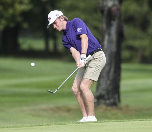 Duffy, Ciccarelli lead Danville | Sports | dailyitem.com