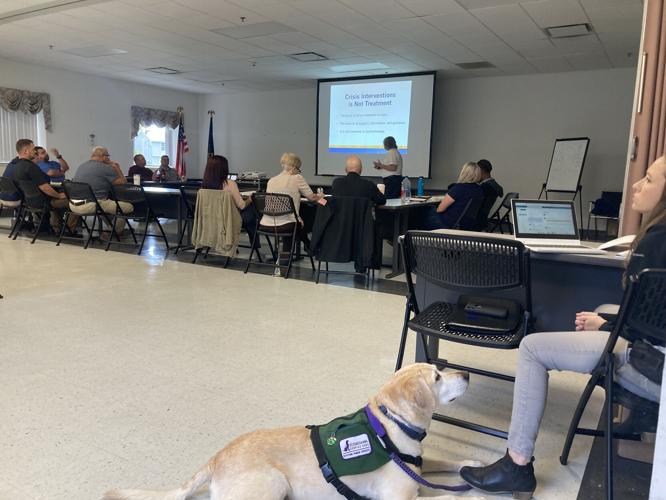 Crisis intervention training for Valley first responders | News ...