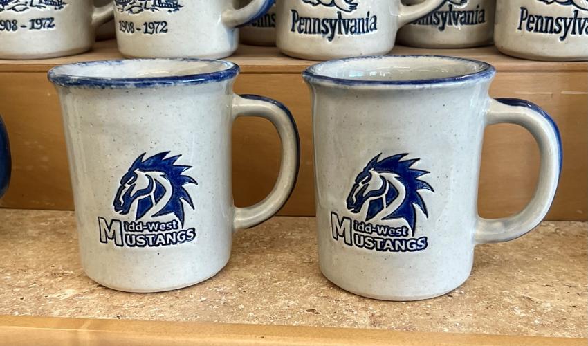 Mustang mugs for sale in Snyder County libraries | News | dailyitem.com