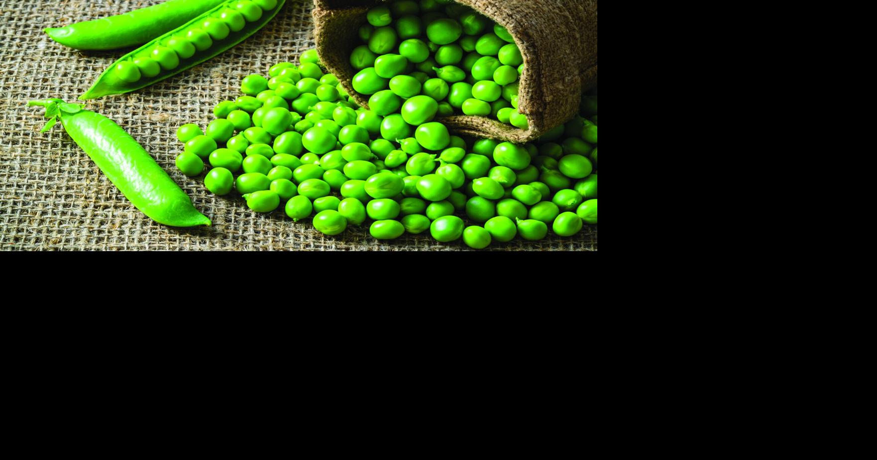 Snap, shell or snow, peas are a summertime staple | Taste | dailyitem.com