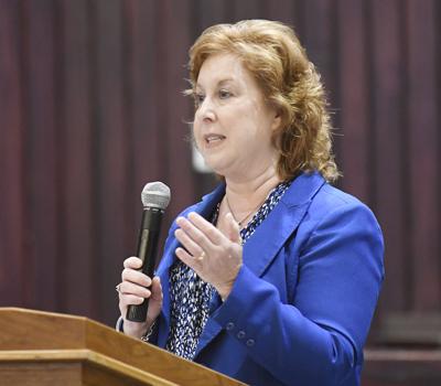State Sen. Lynda Culver announces reelection bid | Local News ...