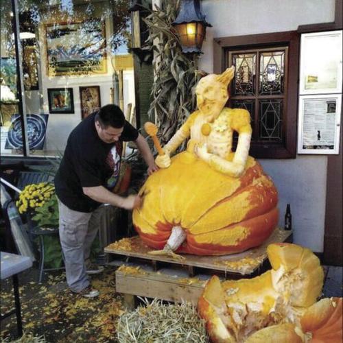 Farm to host first Sunflower and Pumpkin Festival | Applause | dailyitem.com