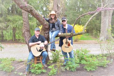 Mifflinburg Buggy Museum plans Mardi Gras-themed gala | Union County ...