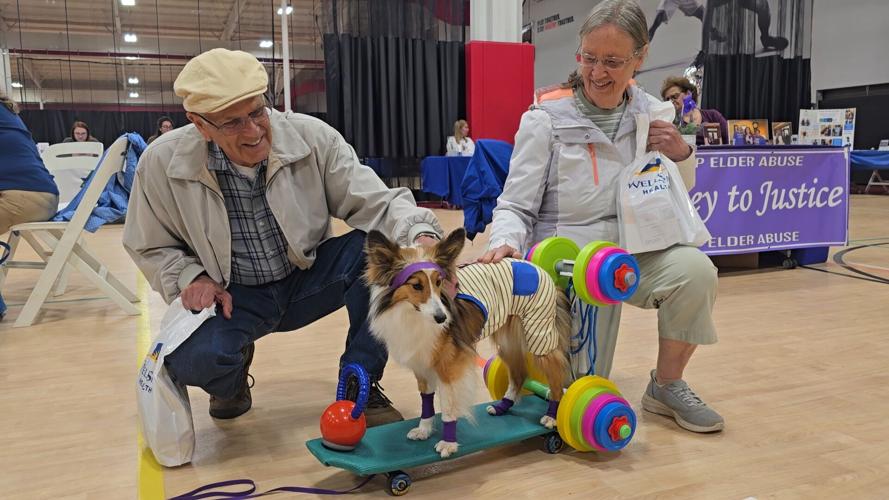 Seniors connect with resources at Health and Fitness Day in Lewisburg ...