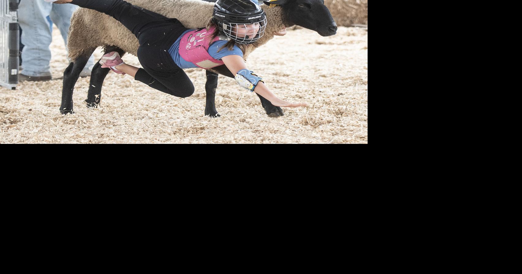 Bloomsburg Fair packed with exhibits, food and fun | Applause ...