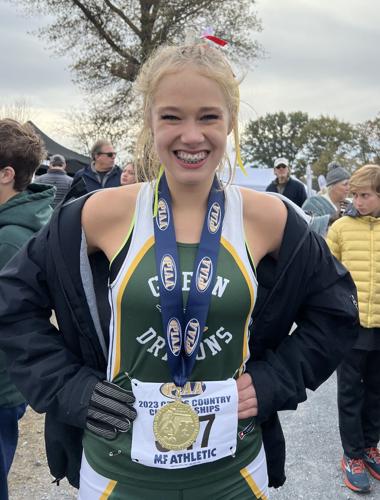 Espinosa, Danville girls win state titles | Sports | dailyitem.com